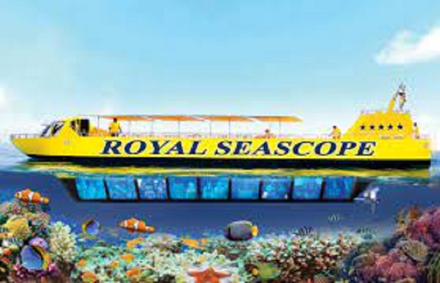 VIP Semi submarin Royal Seascope din Hurghada | Falcon Tour